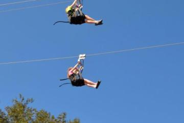 Zip Line Round Trip & Rock Wall Climb Package | HarborWalk Adventures